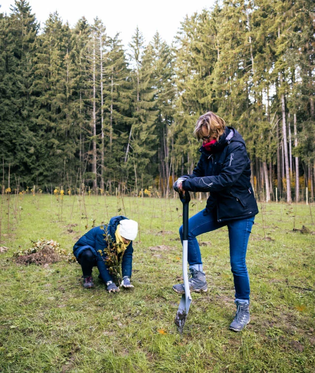 Sustainability with PLANT-MY-TREE